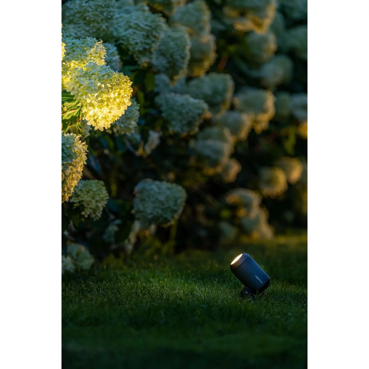 Castor 4 12 volt Gartenbeleuchtung Anthrazit | Nostalux.de